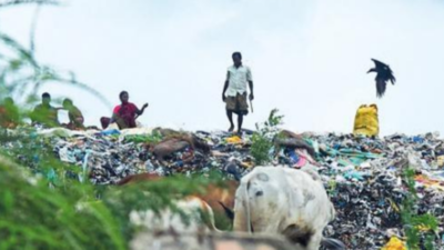 Greater Chennai Corporation to employ 400 rag pickers | Chennai News ...