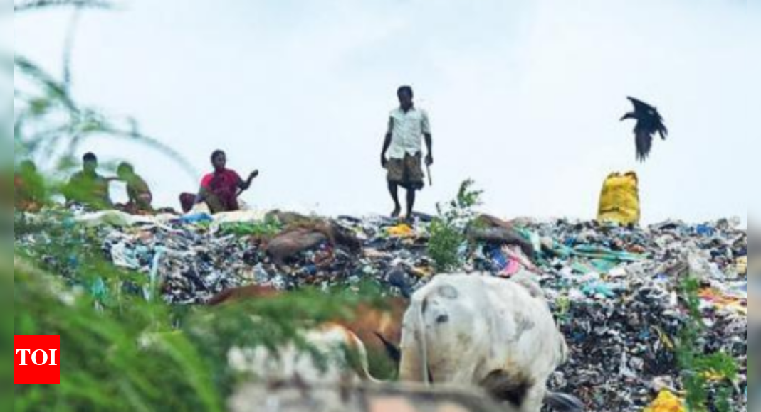 Greater Chennai Corporation: Greater Chennai Corporation to employ 400 ...