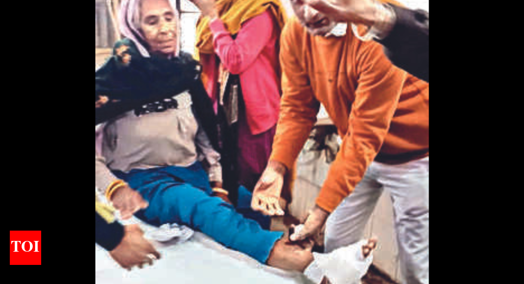 Gunmen open fire in Alwar hospital to attack gangster | Jaipur News ...