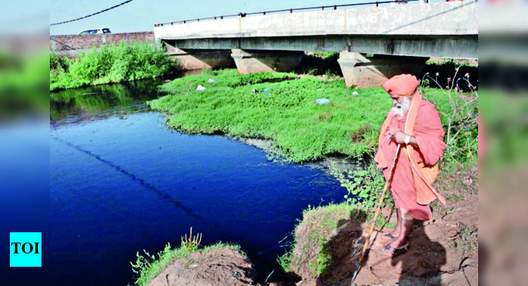 Seechewal: Seechewal Is New Head Of Buddha Nullah Task Force | Ludhiana ...