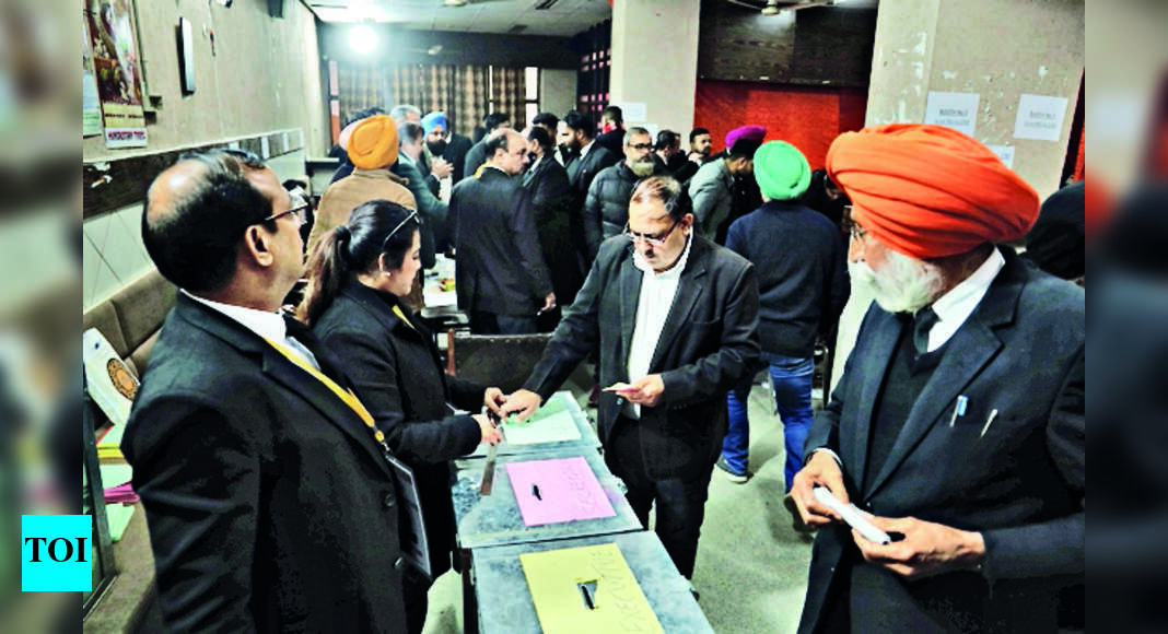 Verma: Chetan Verma Elected New Dba Prez | Ludhiana News - Times of India