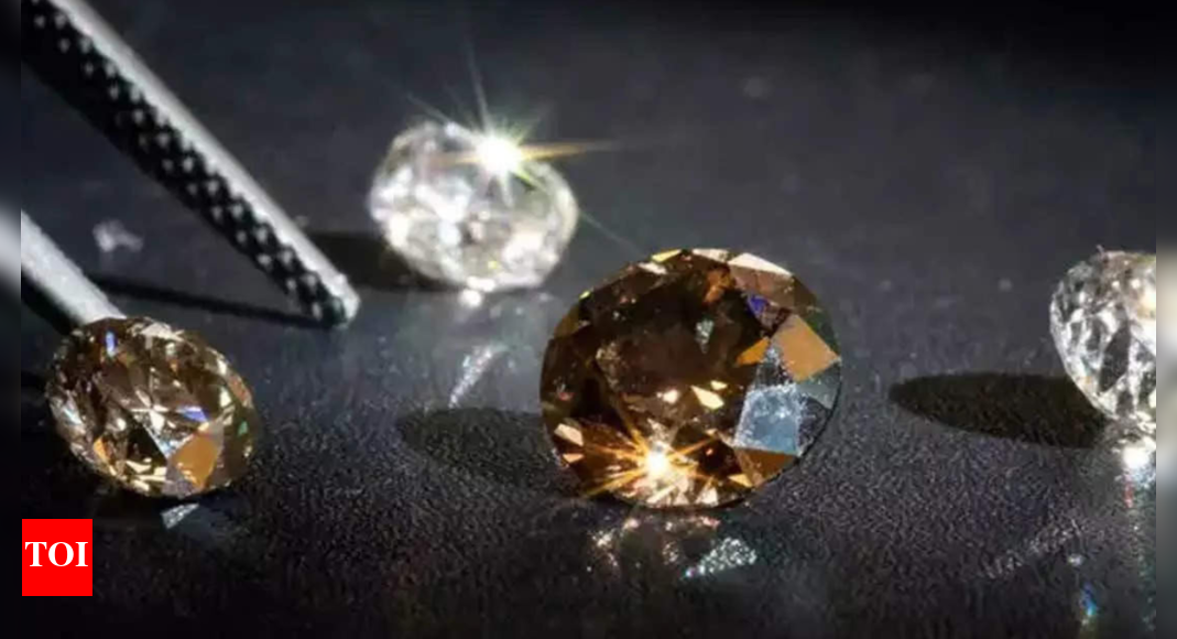 3 Dupe Trader Of ₹100cr Diamonds | Mumbai News - Times of India