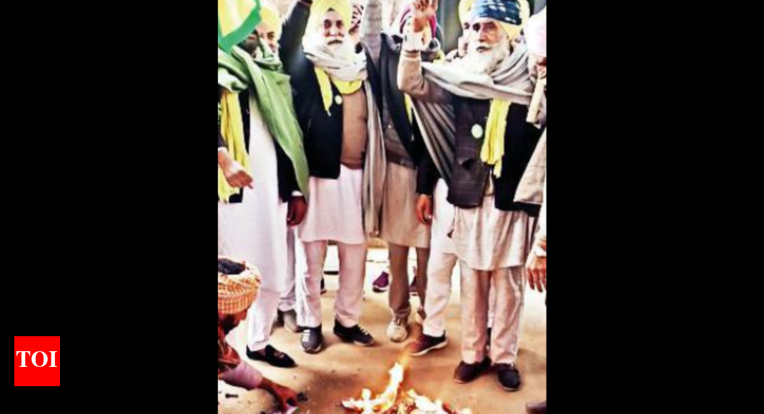 Muktsar: Farmers Burn Copies Of Land Eviction Notices In Muktsar | Chandigarh News - Times of India