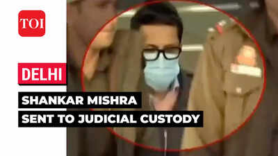 Air India peeing case: Accused Shankar Mishra sent to 14-day judicial ...
