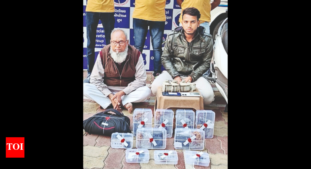 Two Nabbed With Charas Worth 5 Lakh | Vadodara News - Times of India