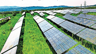 Andhra Pradesh looks to become leader in green energy | Amaravati News - Times of India