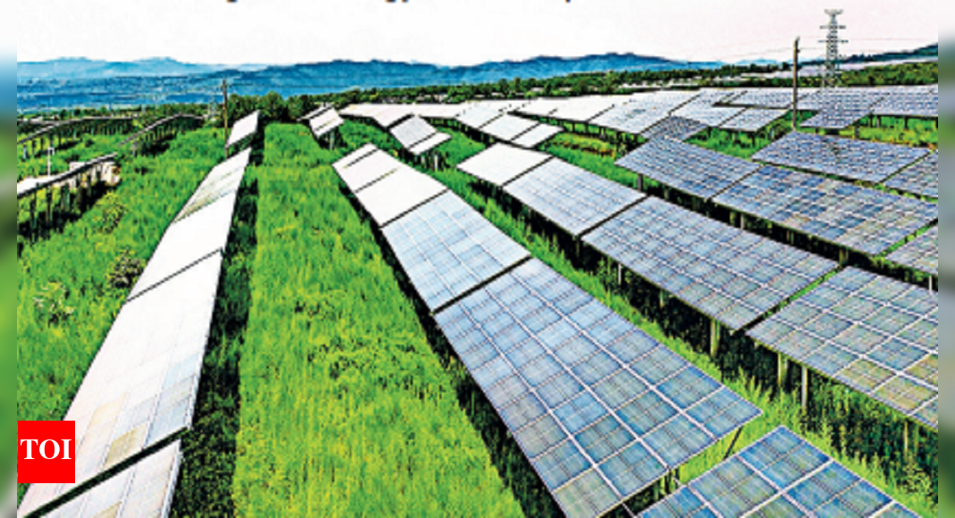 Andhra Pradesh looks to become leader in green energy | Amaravati News ...