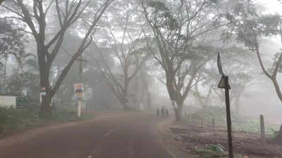 Andhra Pradesh's Chintapalle shivers at 1.5 degree Celsius, lowest temperature of the decade ...
