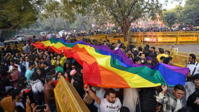 Thousands join post-pandemic pride parade in Delhi | Delhi News - Times ...