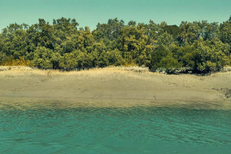 In pictures: Most scenic biosphere reserves in India | Times of India ...