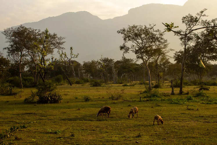 In pictures: Most scenic biosphere reserves in India | Times of India ...