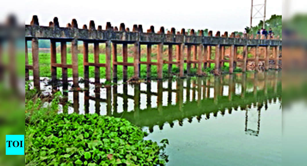 Prachi: Experts Urge Govt For Prachi River Revival | Bhubaneswar News ...