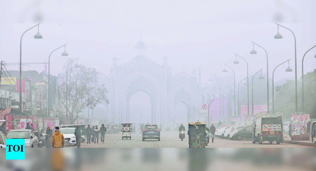 No Respite From Icy Winds, And Dense Fog Till Tuesday | Lucknow News - Times of India