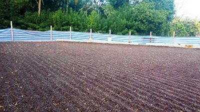Labour shortage affects coffee estate operations in Karnataka | Mysuru ...