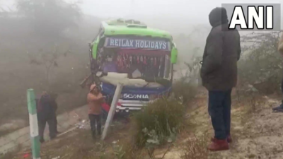 Bus falls off Agra-Lucknow Expressway, three killed | Agra News - Times of India