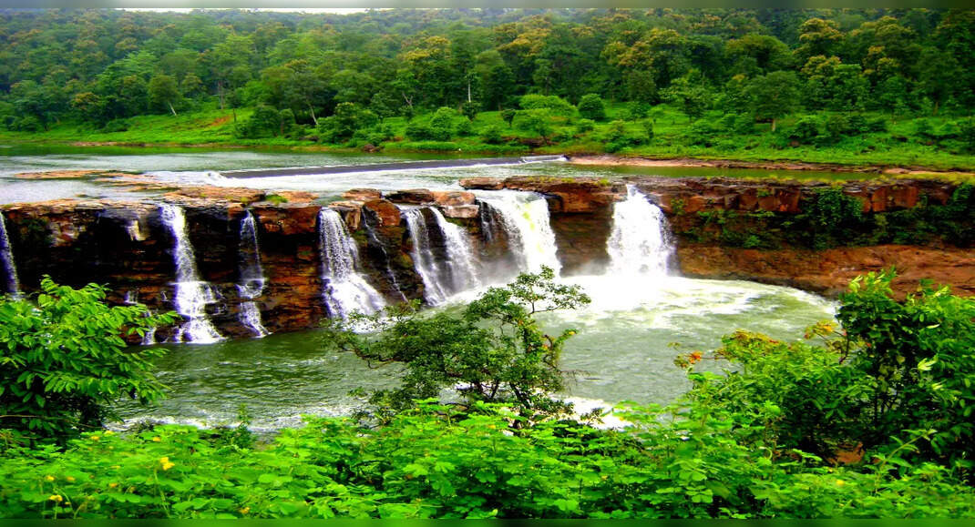 Vansda National Park, Gujarat’s hidden gem | TimesTravel