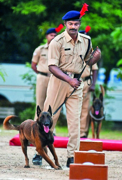 Cisf Inducts 2 Sniffer Dogs At Airport | Chennai News - Times of India
