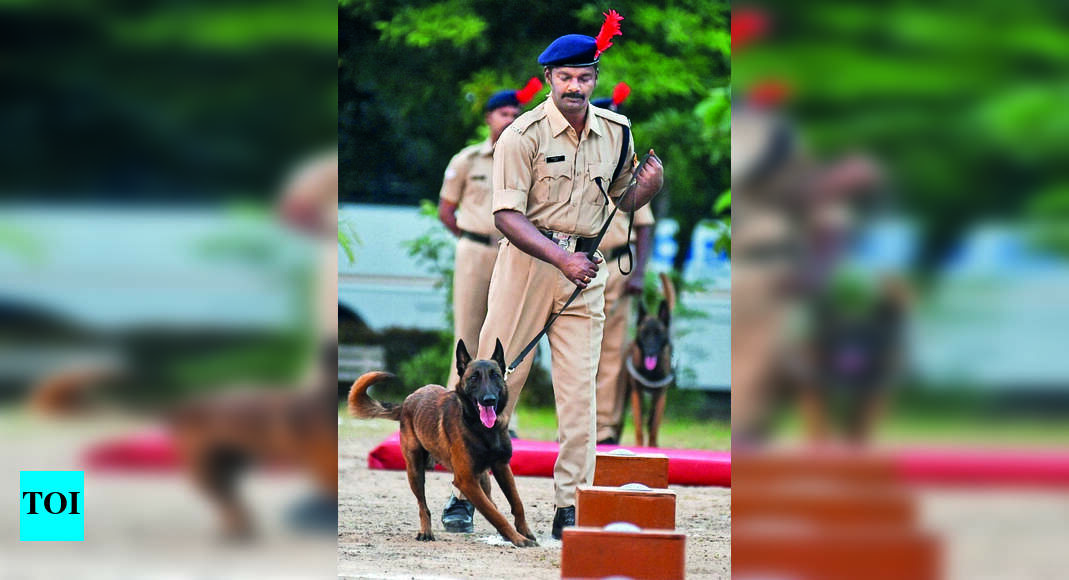 Cisf: Cisf Inducts 2 Sniffer Dogs At Airport | Chennai News - Times of ...