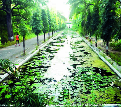 Himayat Bagh Yet To Get ‘protected’ Status | Aurangabad News - Times of ...