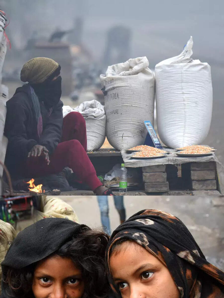 Delhi's bone-chilling cold in 20 pictures | Times of India