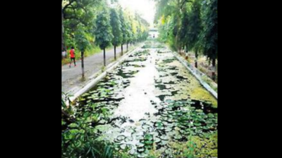 Himayat Bagh: Himayat Bagh yet to get 'protected' status | Aurangabad ...