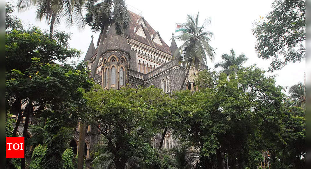 Cyrus Mistry mishap: Bombay HC questions PIL petitioner's locus standi ...