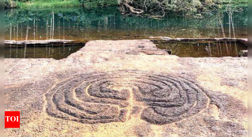 Goa, Maharashtra begin first-ever holistic study of Konkan region rock ...