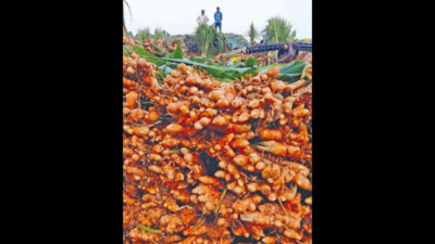 Bhogi: Don't burn stuff this Bhogi, dump it at designated spots in ...