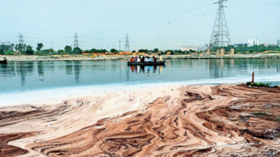 Yamuna river in Delhi more polluted in December than it was in January ...