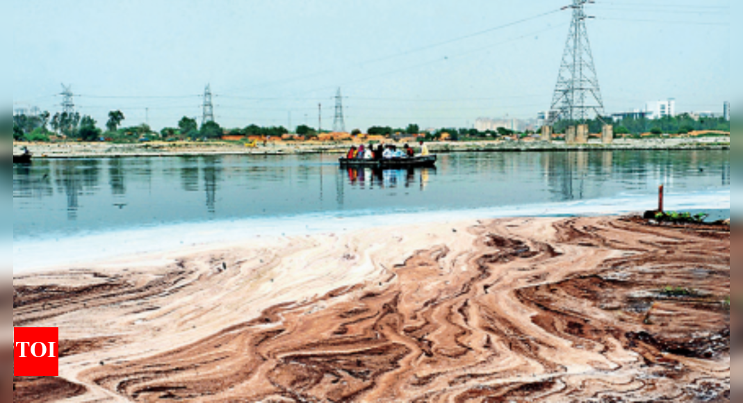 Yamuna river in Delhi more polluted in December than it was in January ...