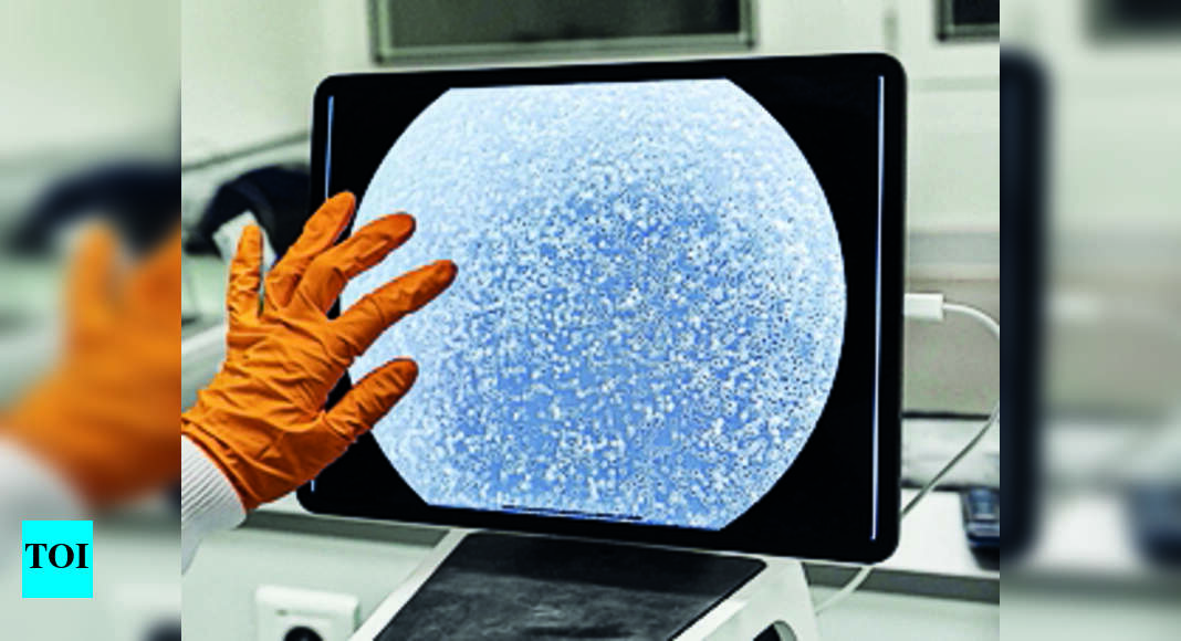 Iisc Study Reports New Findings On Immune Cell Activity In Humans ...