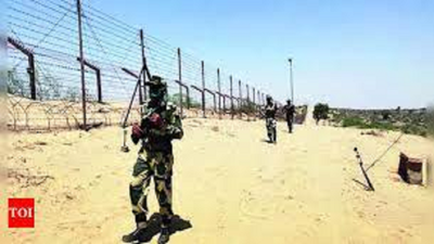 Bsf: Bsf Raj Frontier Nabs 50 Intruders In 2022 | Jaipur News - Times ...