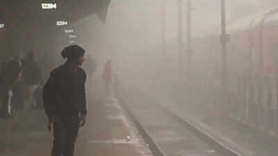 Delhi Fog | Trains Delayed Today: 23 trains running late as fog envelops parts of North India ...