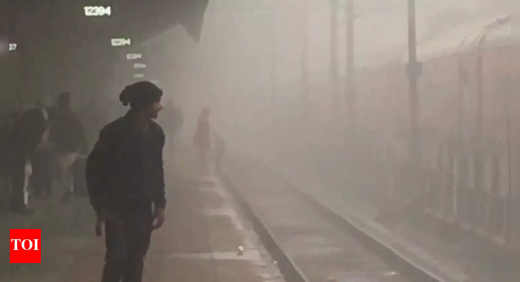 Delhi Fog | Trains Delayed Today: 23 trains running late as fog envelops parts of North India ...