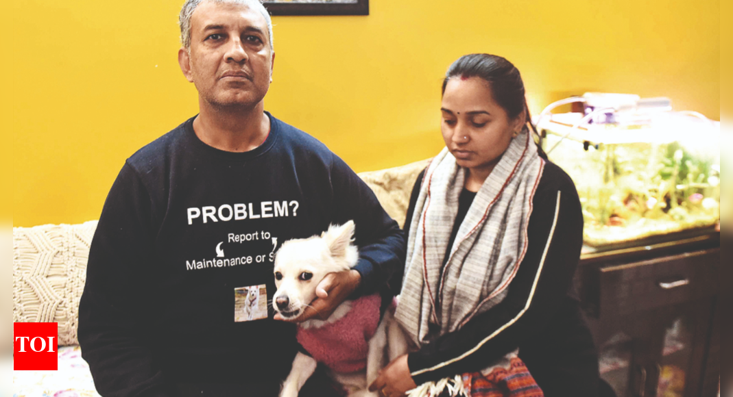 Exec Goes To Human Rights Panel, Alleges Detention In Lockup Over Dog ...