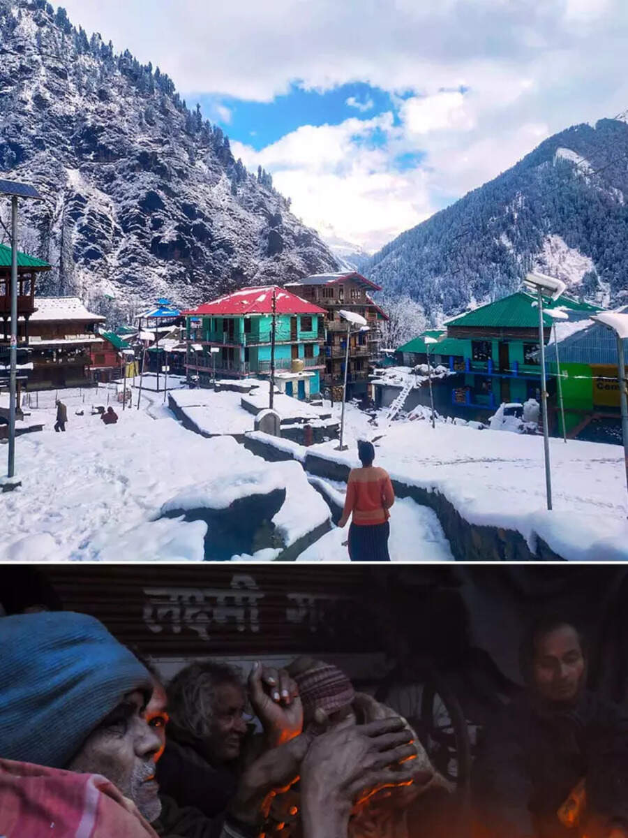 Cold Wave in India: It's biting cold! North India shivers | Times of India