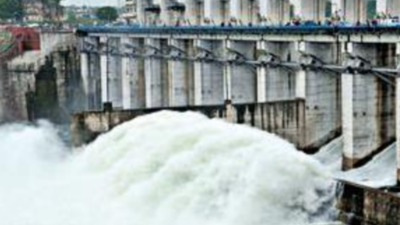 Work of 128 hydel projects runs behind schedule in Kerala ...