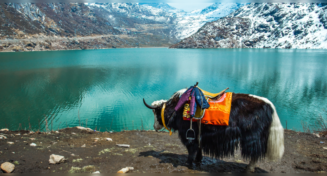 These spectacular lakes of Sikkim will bowl you over! | Times of India Travel