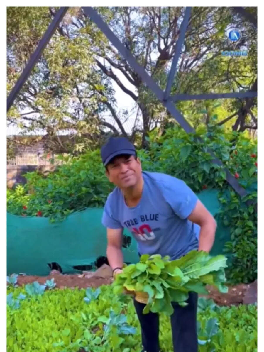 Watch: Sachin Tendulkar gives a tour of his vegetable garden; details ...
