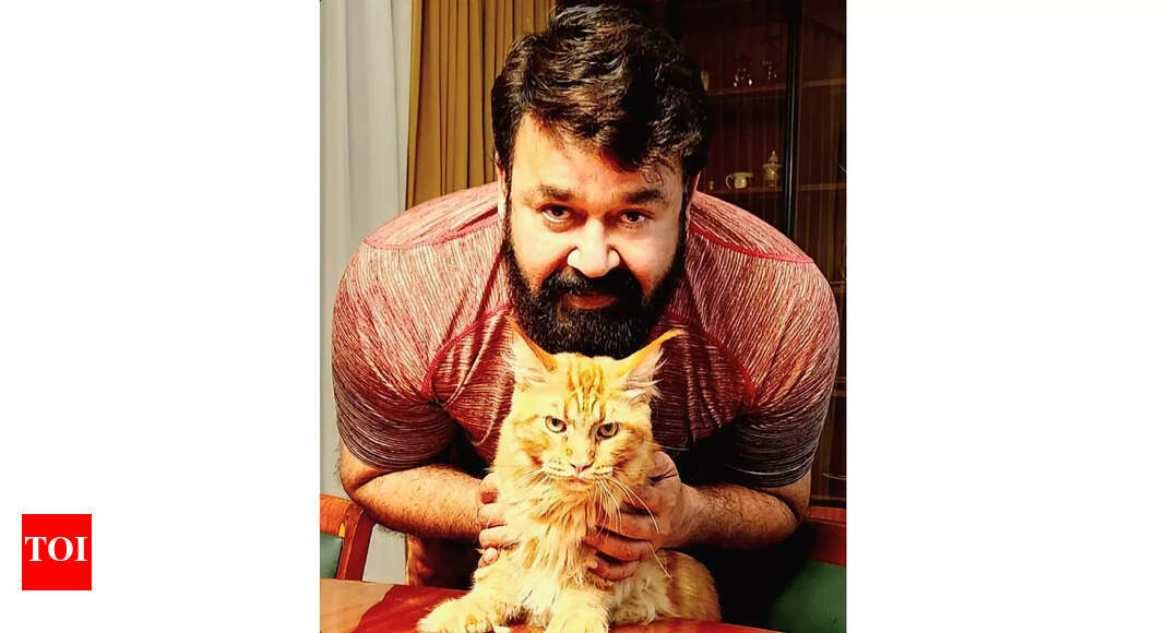 Meet Simba, Mohanlal’s furry friend | Malayalam Movie News - Times of India