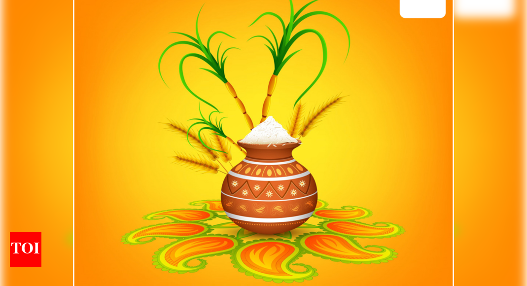 Happy Bhogi Pongal 2025: Top 50 Wishes, Messages, Quotes and Images to ...