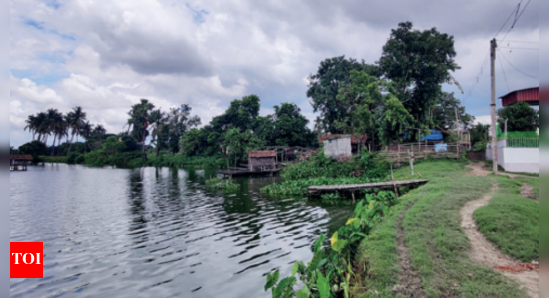 Ekw: Environment department drafts Rs 66 crore plan to improve lives of ...