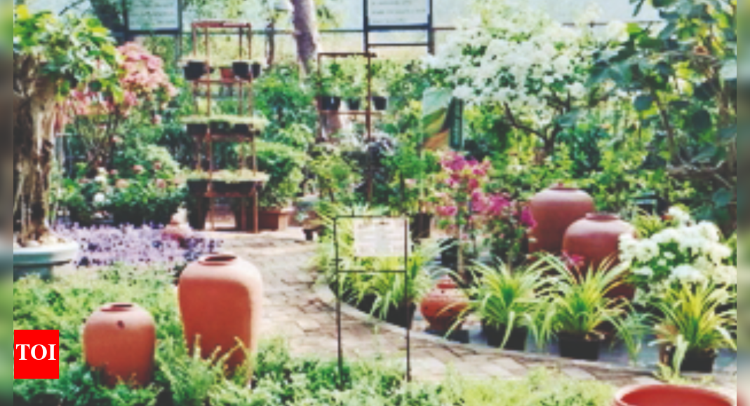 Nursery On Goa Highway Becomes Talking Point Of Nature Conservation ...
