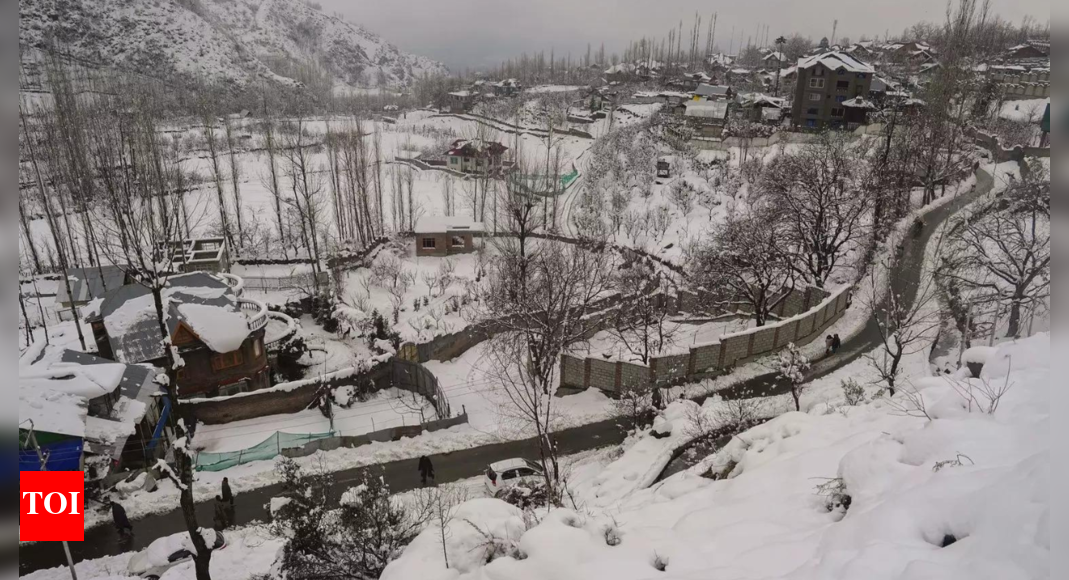 Multiple avalanches reported in Jammu and Kashmir after heavy snowfall ... Multiple avalanches reported in Jammu and Kashmir after heavy snowfall ...