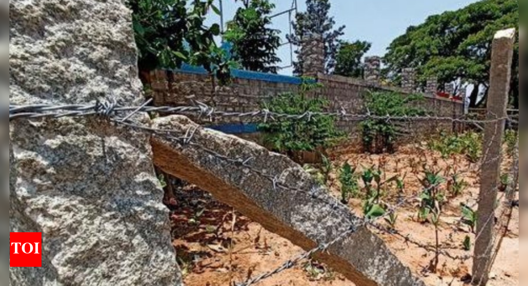 Fence meant to ward off animals kills man in UP's Lakhimpur Kheri ...