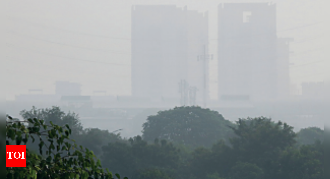 Hill Winds Bring Back Chill, Fog Will Return Too | Gurgaon News - Times ...