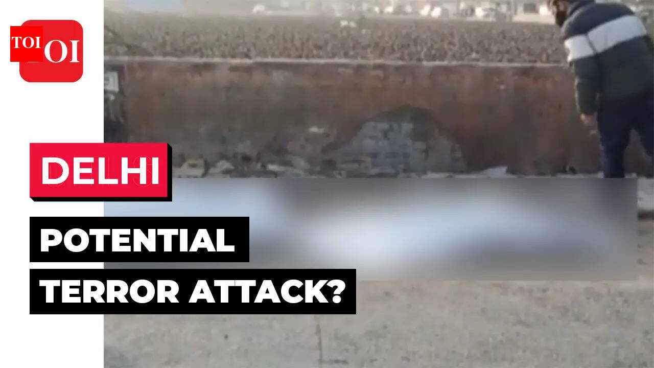 Chopped up body found in Delhi day after 2 arrested over terror links ...
