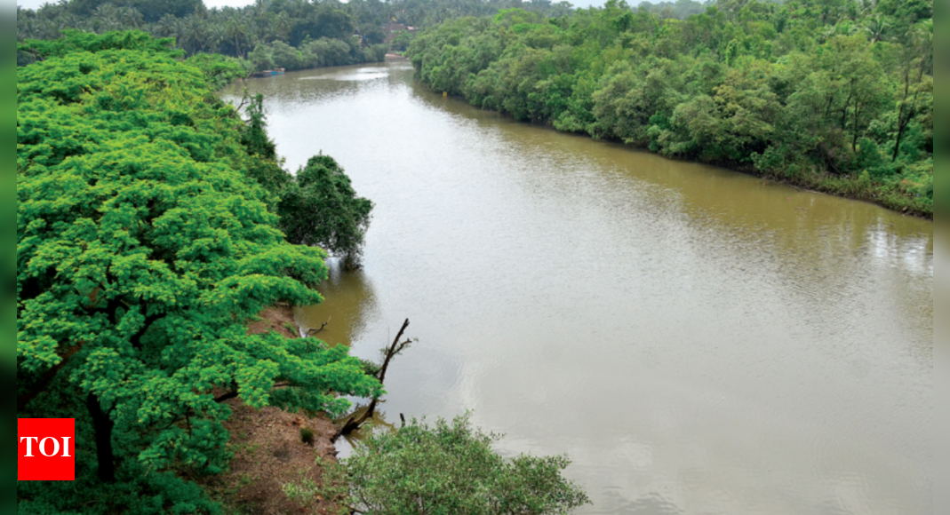 Not just Mandovi river, even Zuari to bear brunt of Mhadei diversion ...