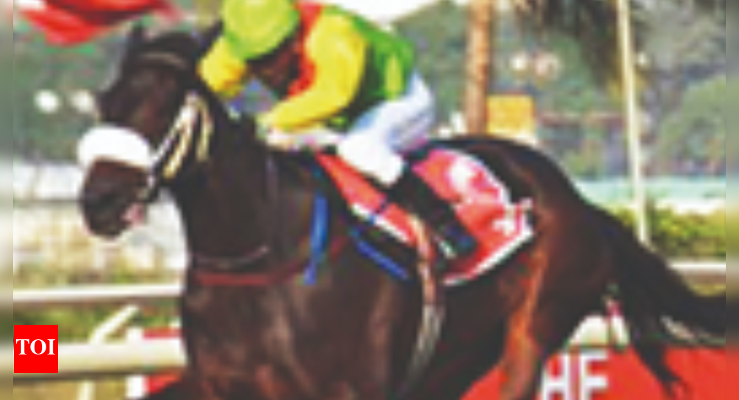 Kings Ransom: King’s Ransom Claims Indian Oaks | Mumbai News - Times of ...