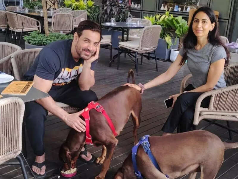 John Abraham's wife Priya Runchal wants a film about Sia and Bailey’s ...